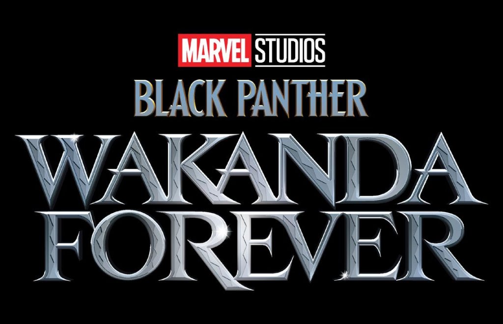Black Panther Wakanda Forever – Wayne's Sports Cards and Collectibles